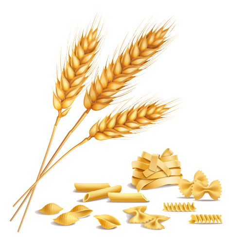On The Menu | pastatypes